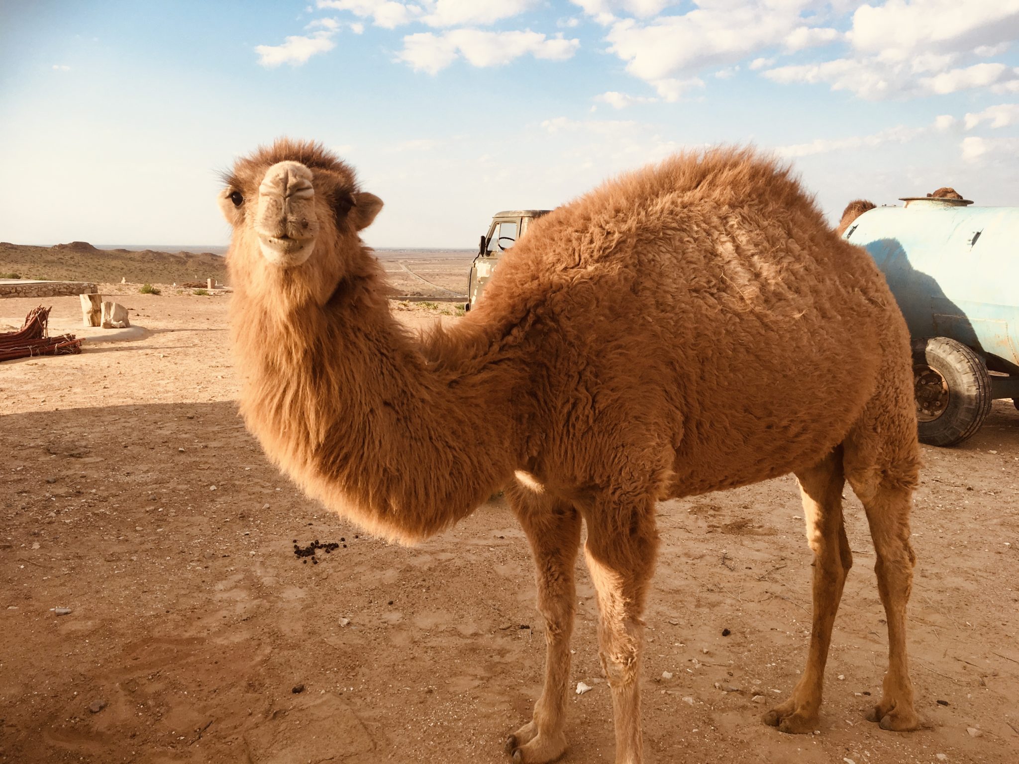 Dormire in yurta in Uzbekistan: quale scegliere? • The Lost Bag